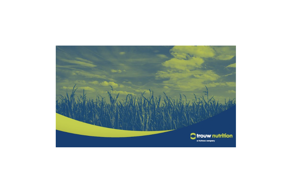 Trouw Nutrition renueva su imagen de marca - Axon Comunicacion. Empresa ...