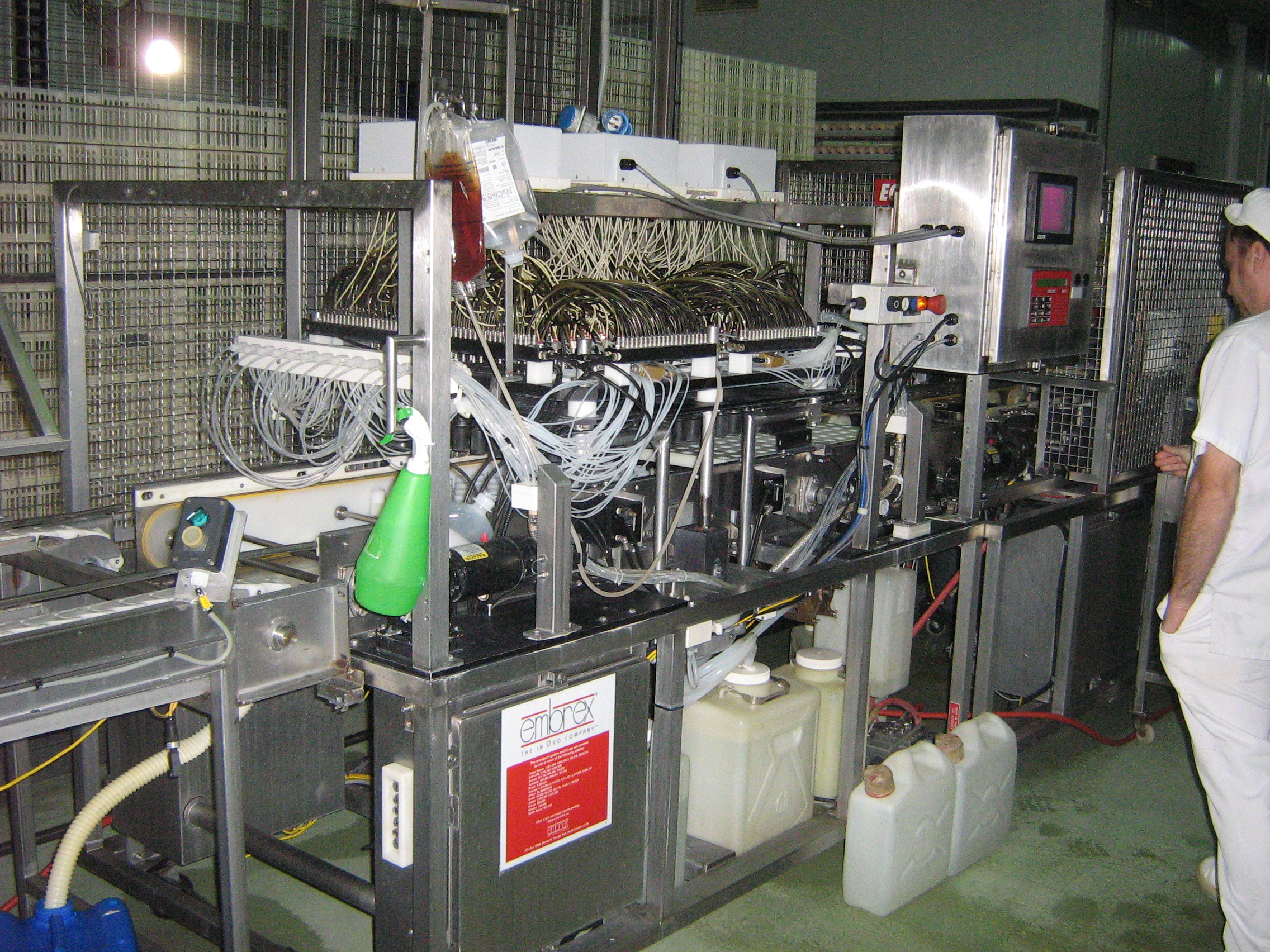 El coronavirus de la bronquitis infecciosa un viejo conocido de los ...