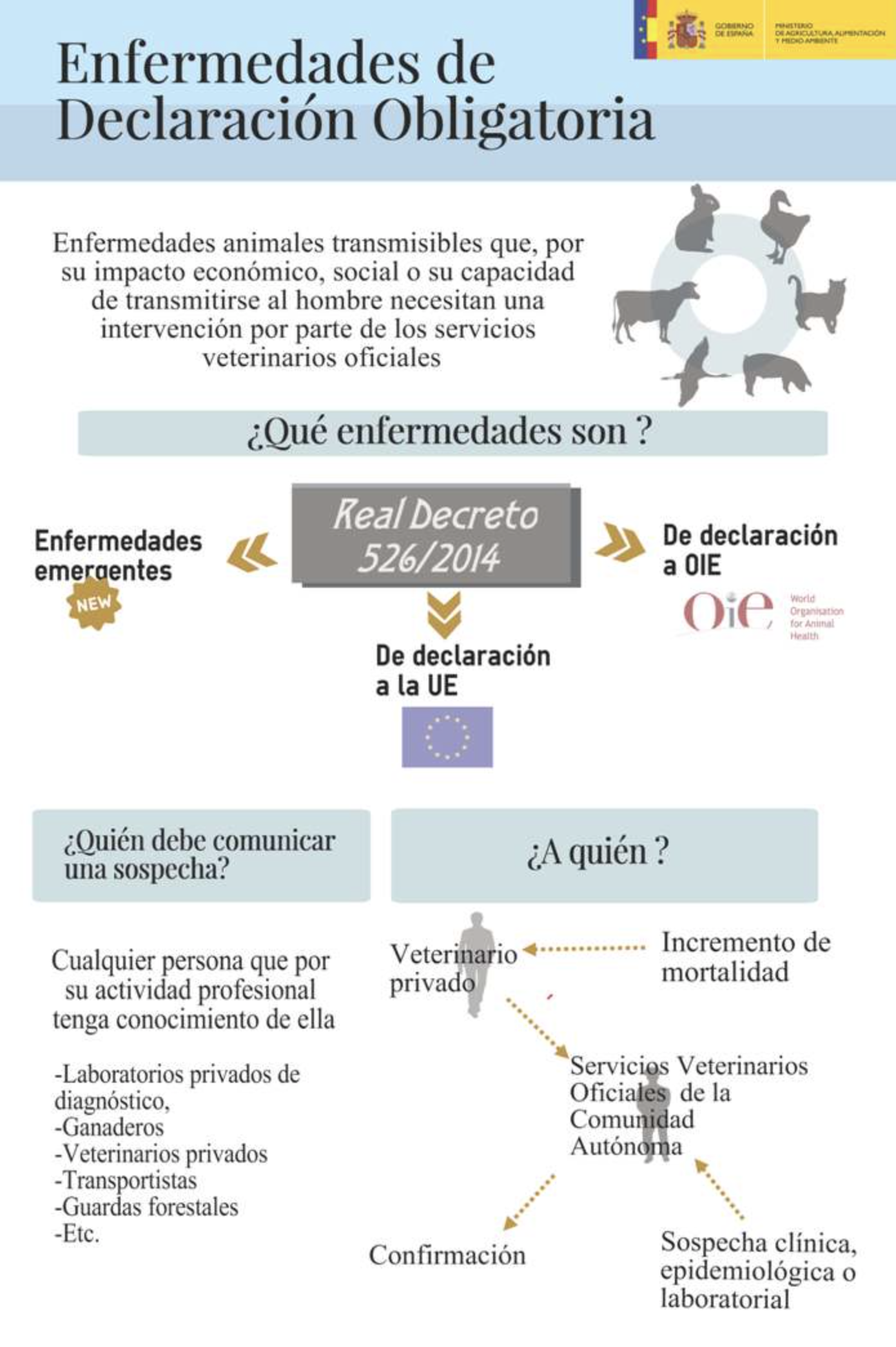 Dermatosis nodular contagiosa - Axon Comunicacion. Empresa líder en ...