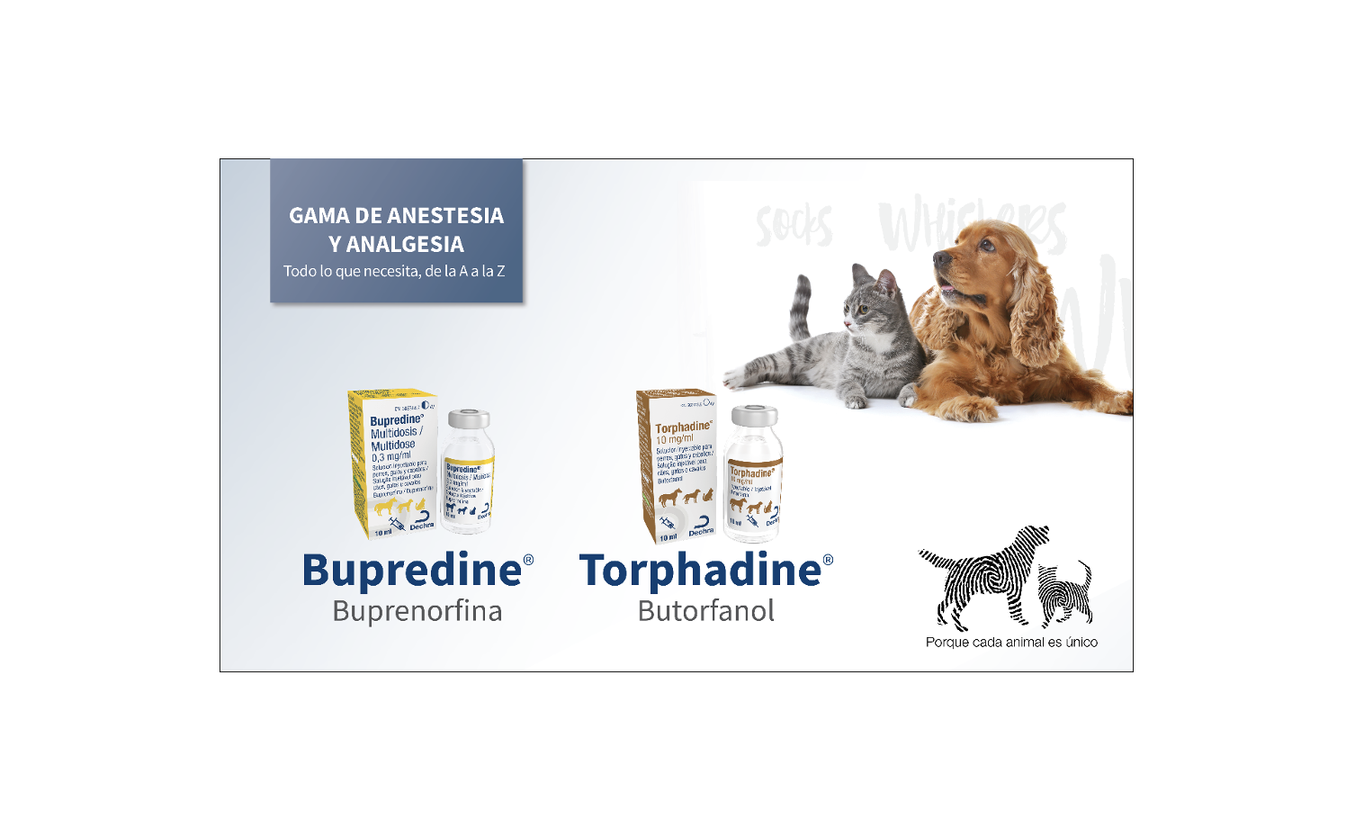 Dechra completa su gama de opioides para uso veterinario - Axon ...