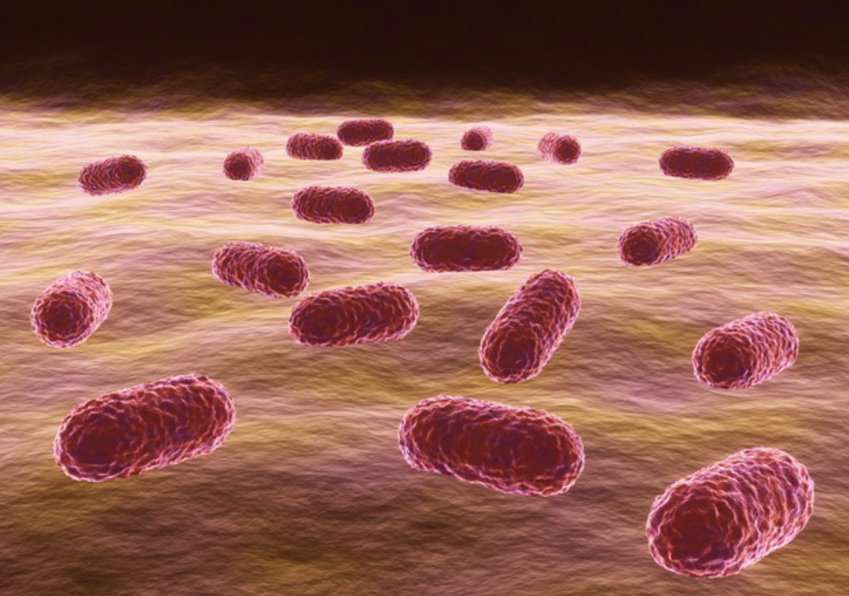 Científicos desarrollan un inhibidor de alto espectro para combatir ...