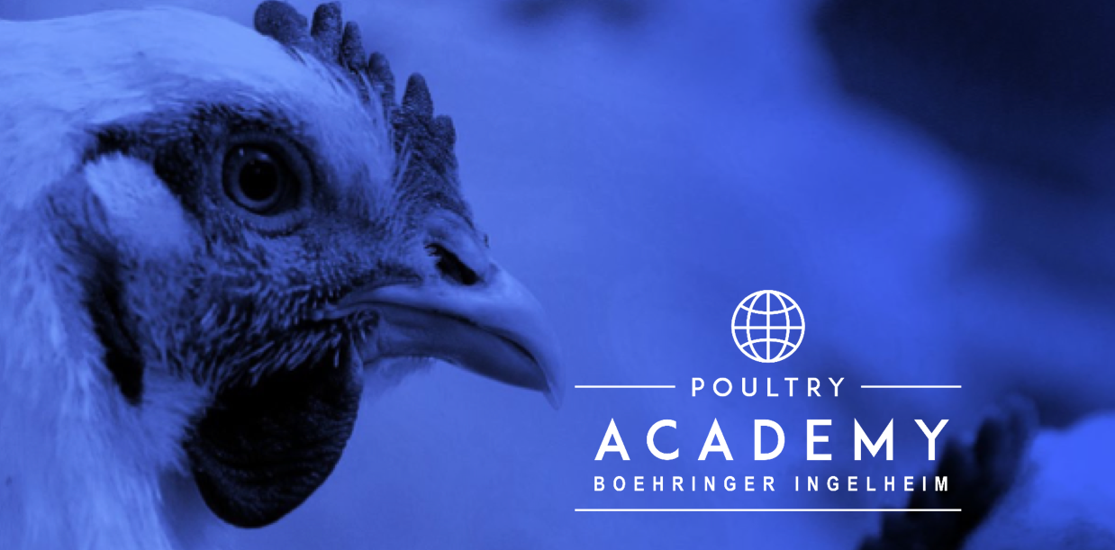 Boehringer Ingelheim celebra una nueva sesión del Poultry Management ...