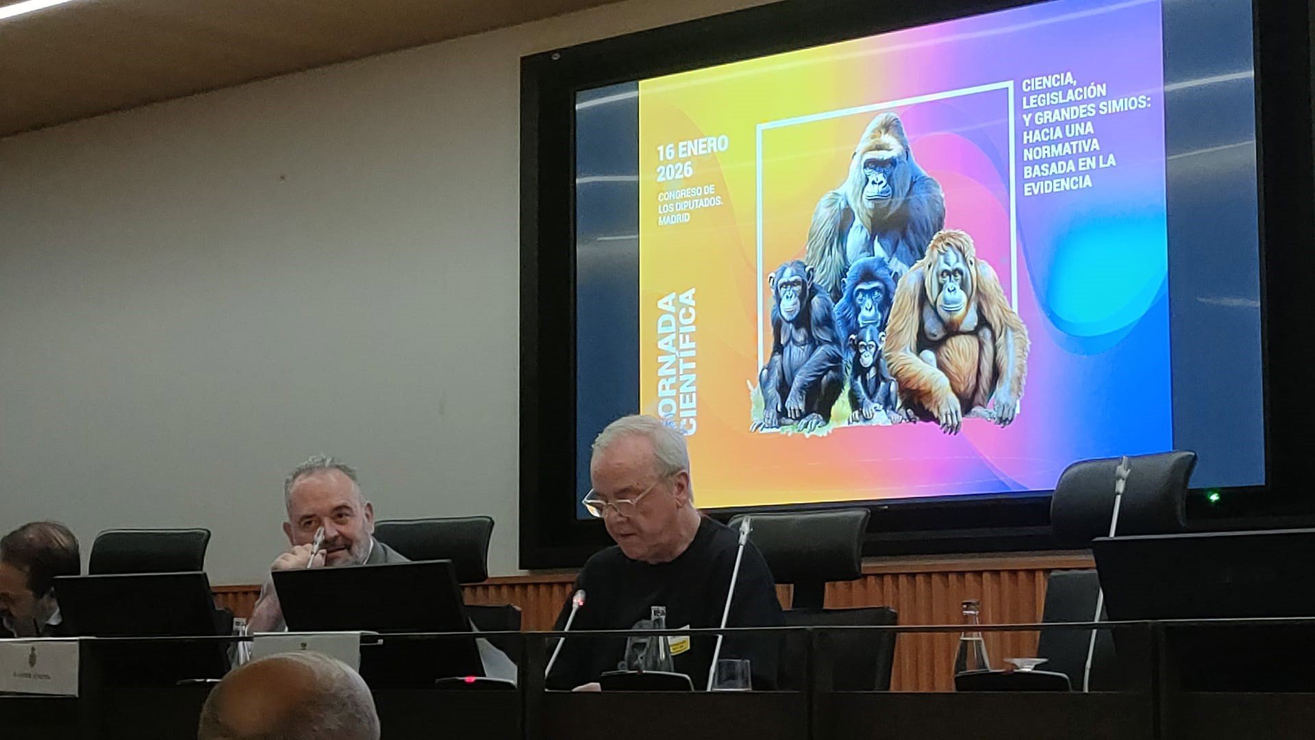 Derechos Sociales precisa que la Ley Goodall no equiparará derechos de ...